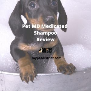 Pet MD – Antiseptic and Antifungal Medicated Shampoo For Dogs Review