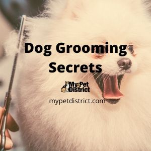 Dog Grooming Secrets: How to Make Your Pet Look and Feel Good